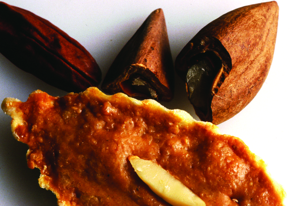 How to Make Pili Tarts