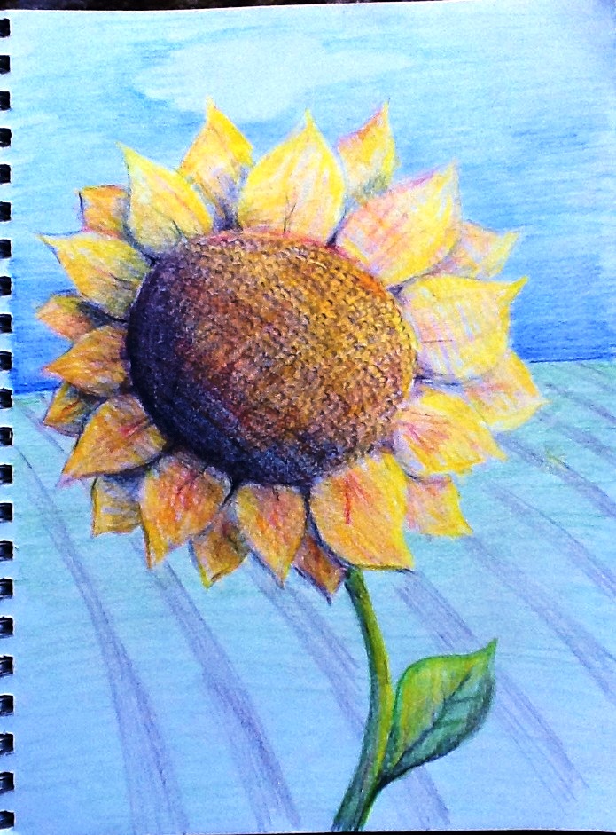 A Creative Journey, by Michael Mitchell: Study of a Sunflower