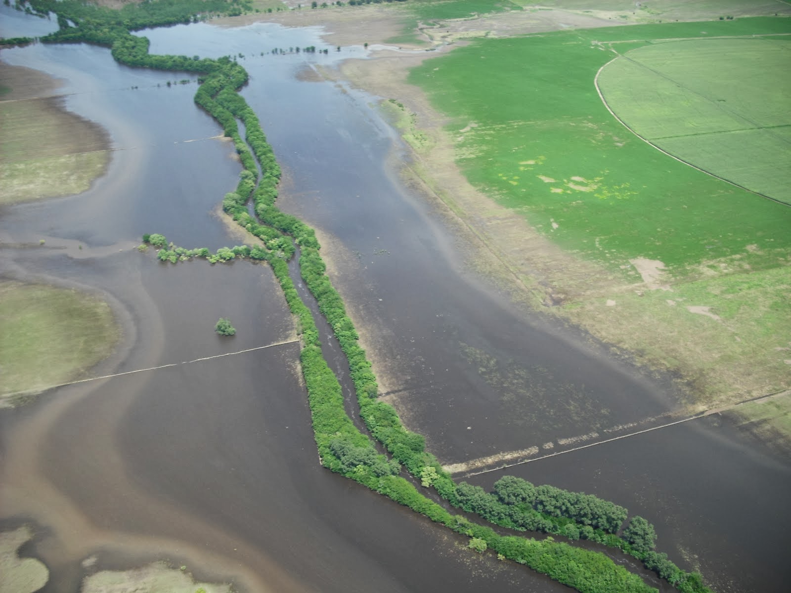 La cuenca del Arecouna mirada transdisciplinaria: ¿Qué es una cuenca ...
