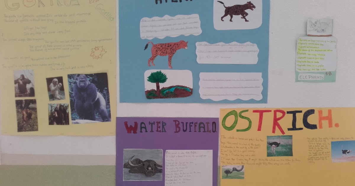 Great Explorers 5º: Animals Project