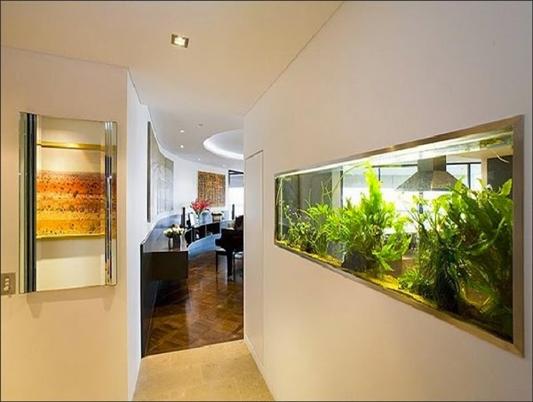 Manfaat Membuat Aquarium Dinding - Dunia Akuarium