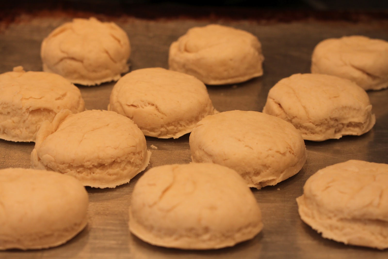 Jamy Fisher: Biscuits Two Ways