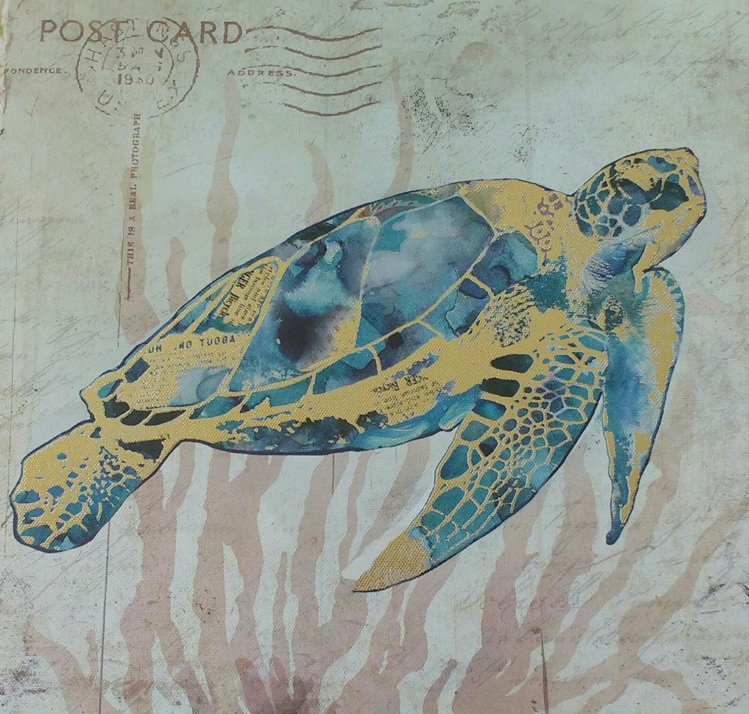 Angels for You: Sea Turtle Messenger: An Angel Message