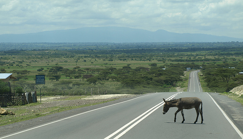 Photo ~ Finote Selam