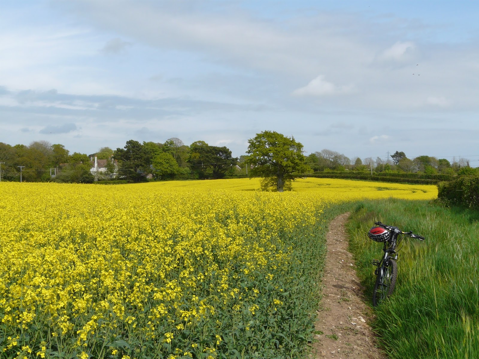 Favorite poems: "The Voice"