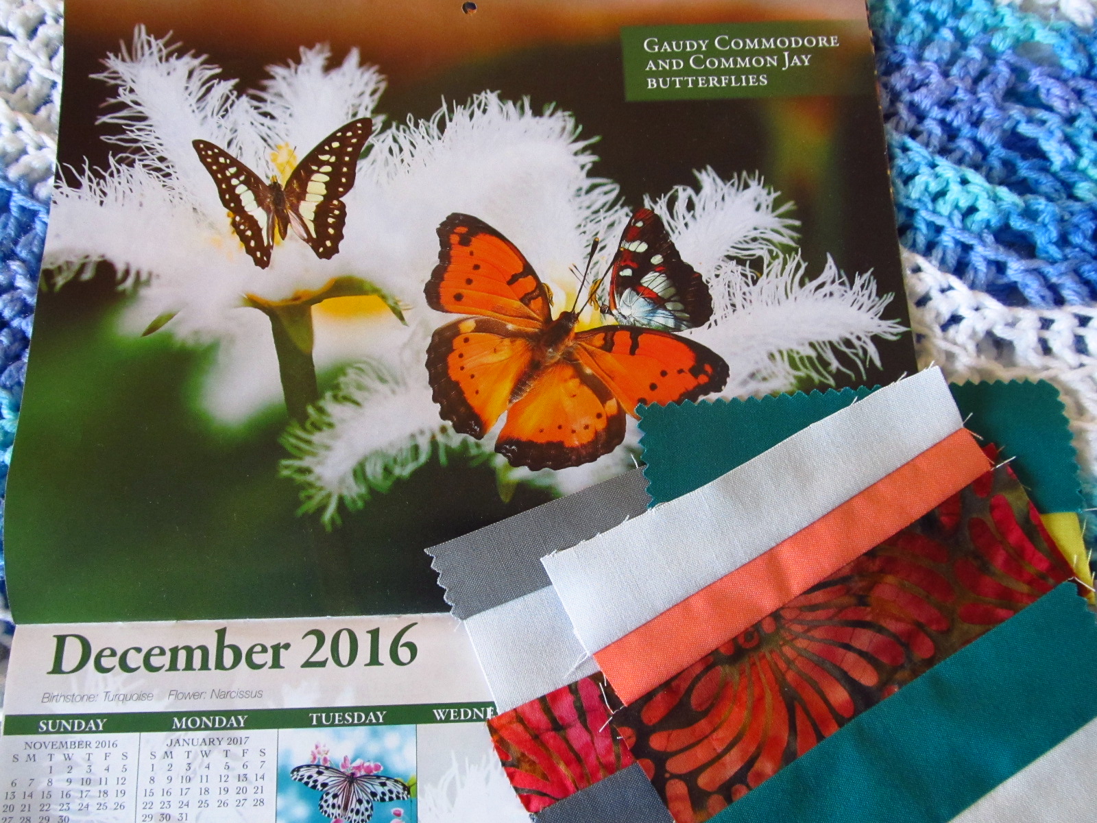 Crazy Victoriana crazy for quilts: Butterfly for December, Butterfly ...