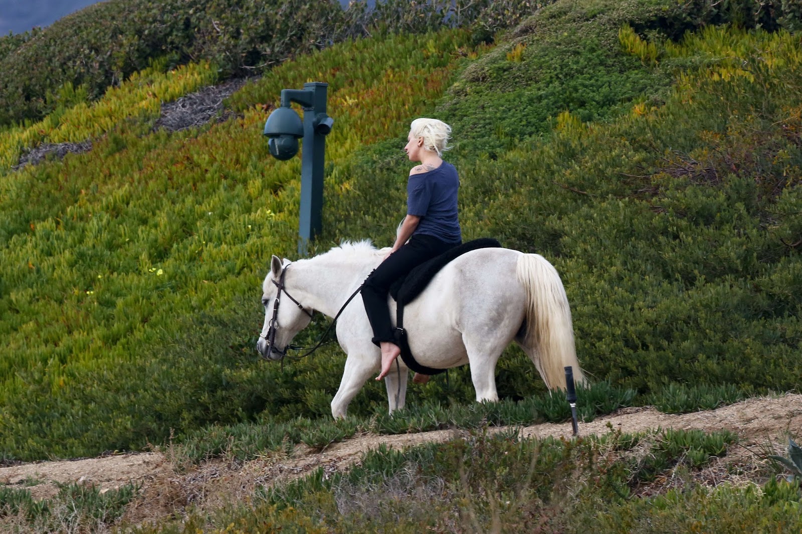 Lady Gaga Riding Her Horse in Malibu, CA - Little Monsters Official