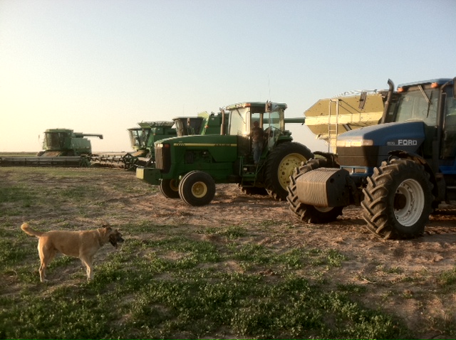 The Backwards K Corral: "You been farming long?"
