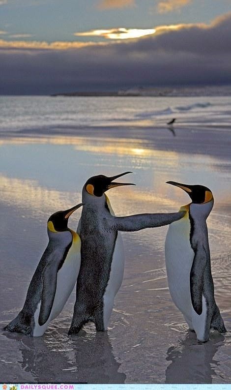 SNIPPITS AND SNAPPITS: 12/2014