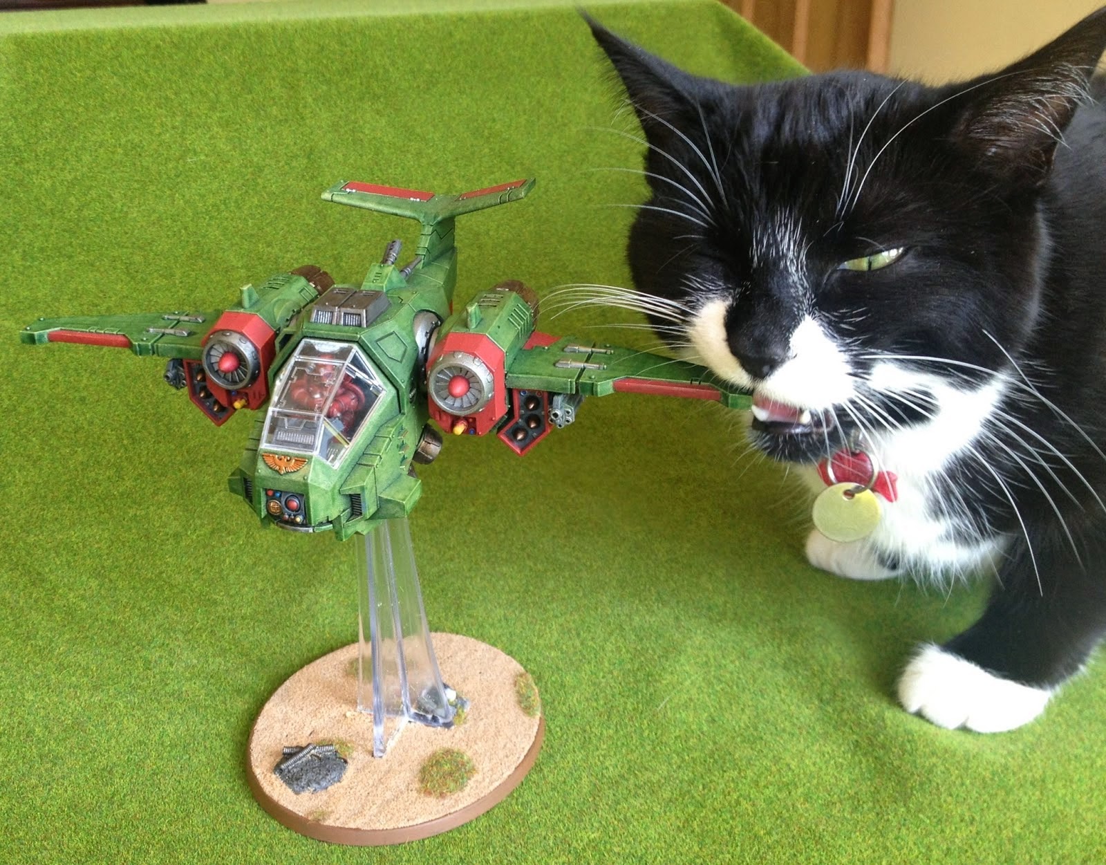 Hand of Junk: 100 Posts! 40k Cat's Greatest Hits