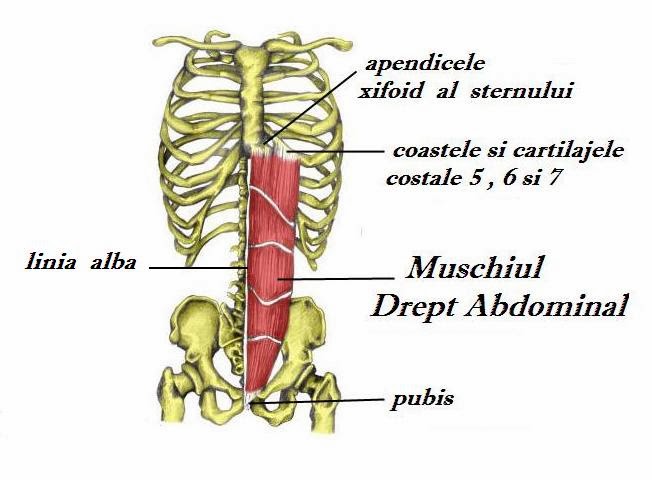 Angel Blue: februarie 2014