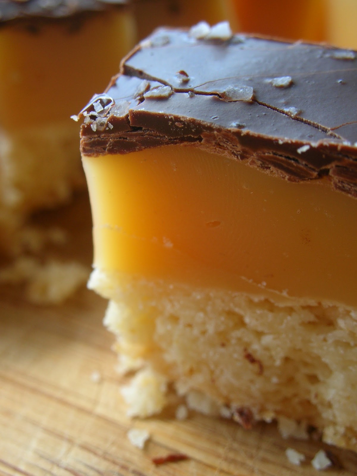 Salted Caramel Shortbread Bars