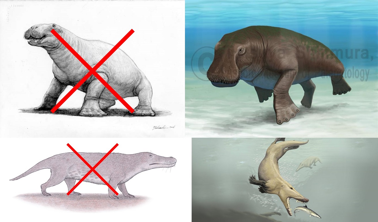 Palaeos, la historia de la Vida en la Tierra: enero 2018