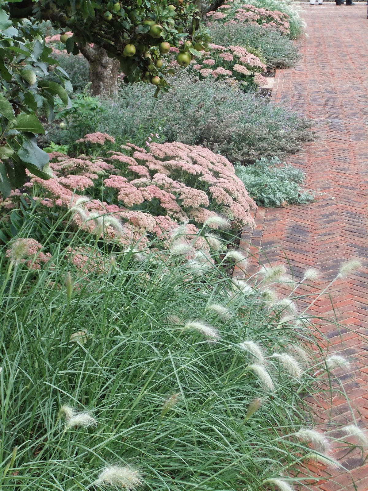 Pippa Purnell Garden Design: Planting: Refresh Your Borders