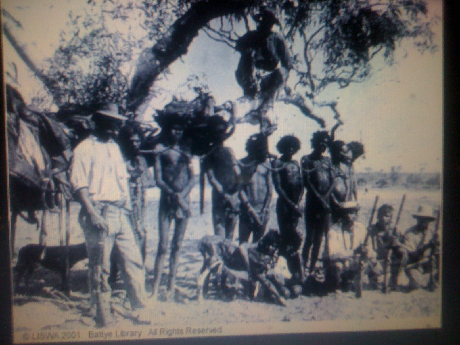 THE BLACK SOCIAL HISTORY:: BLACK SOCIAL HISTORY: WHY BLACK AUSTRALIAN ...