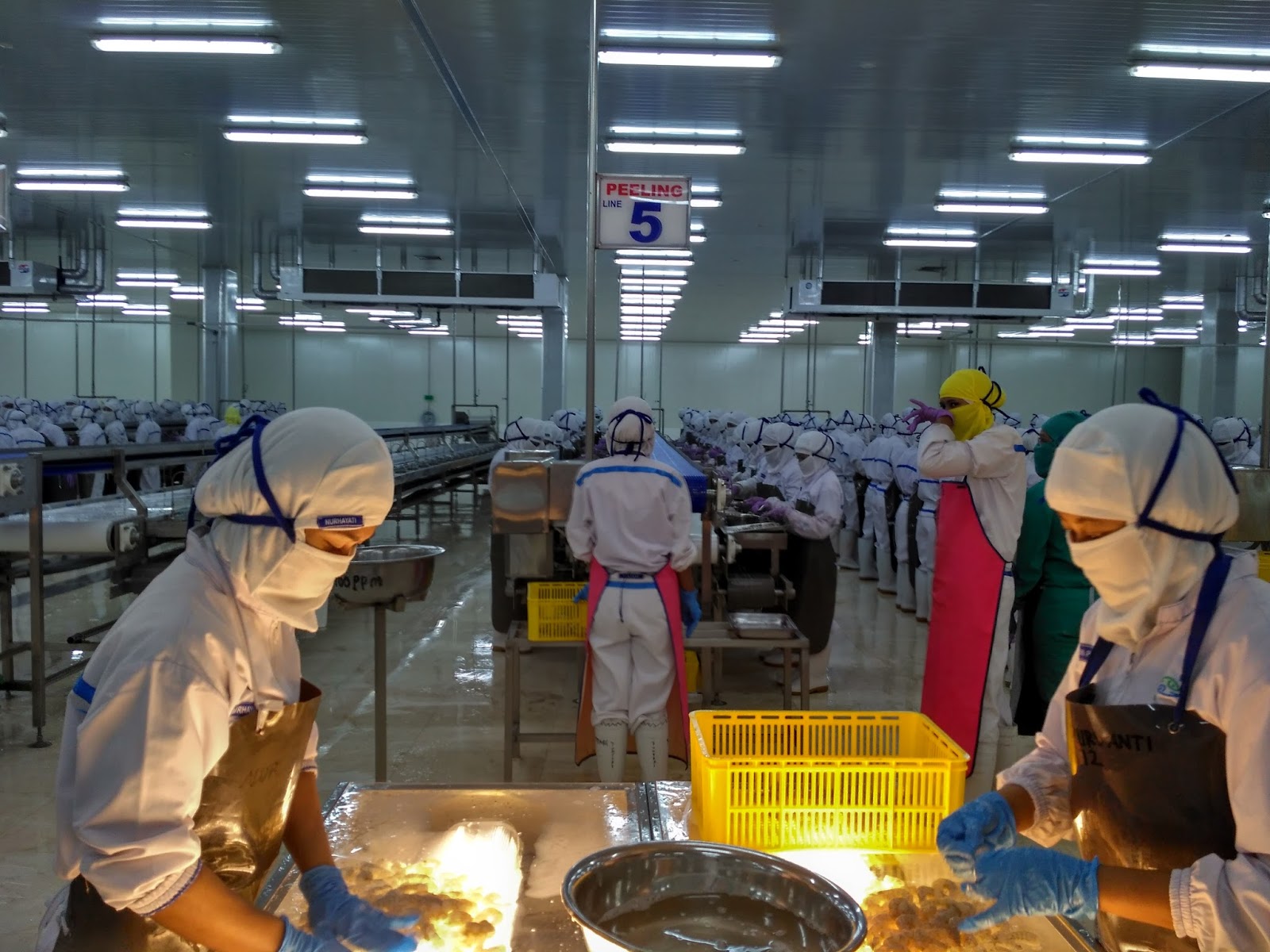 Pt. Dua Putra Utama Makmur tbk hadir di kota pati - Target Hukum Online