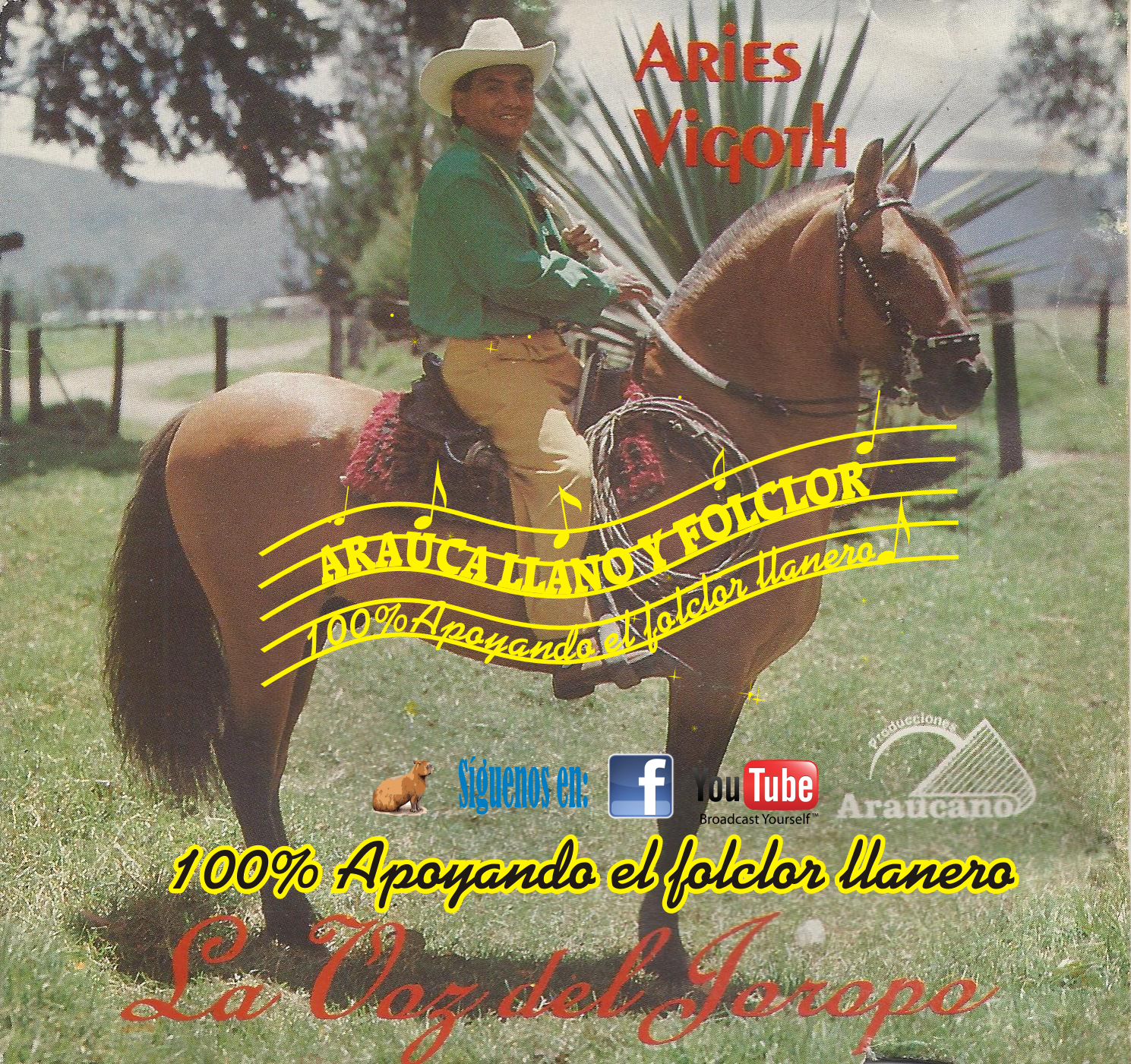 ARAUCA LLANO Y FOLCLOR: ARIES VIGOTH, LA VOZ DEL JOROPO 1994