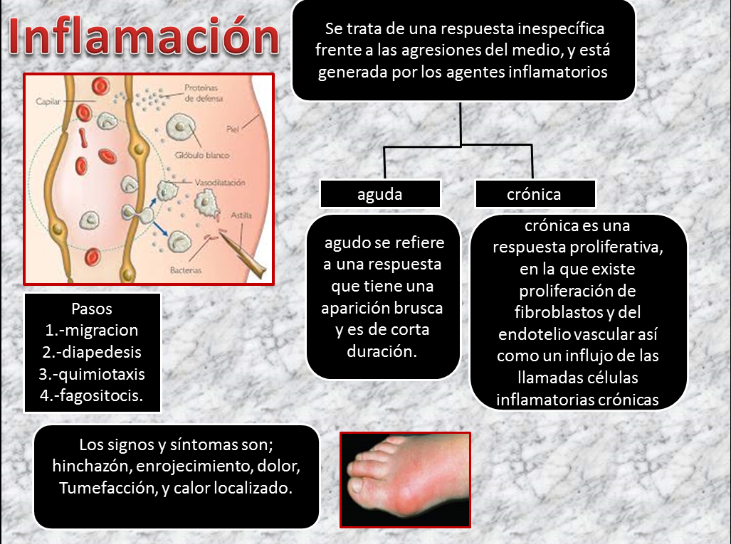 blog de fisiologia, UAS,de Jose Alberto Cuevas Bastidas: febrero 2014