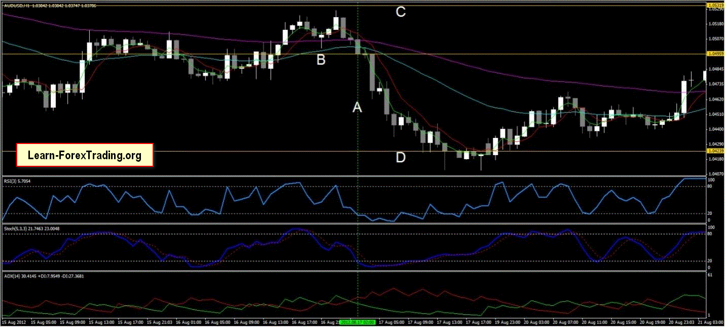 Super Rally Trading System