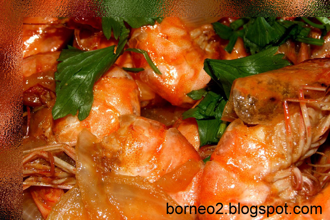 Borneo Island, Awaken To A Different World: Prawn - Indian White Prawn ...