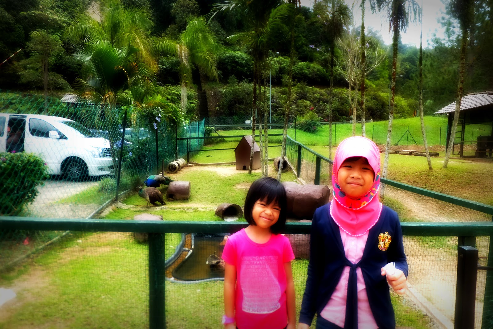 Taman Arnab Bukit Tinggi