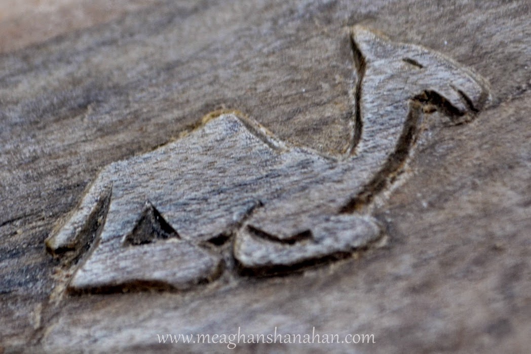 Meaghan the Mzungu: Camel Camping!