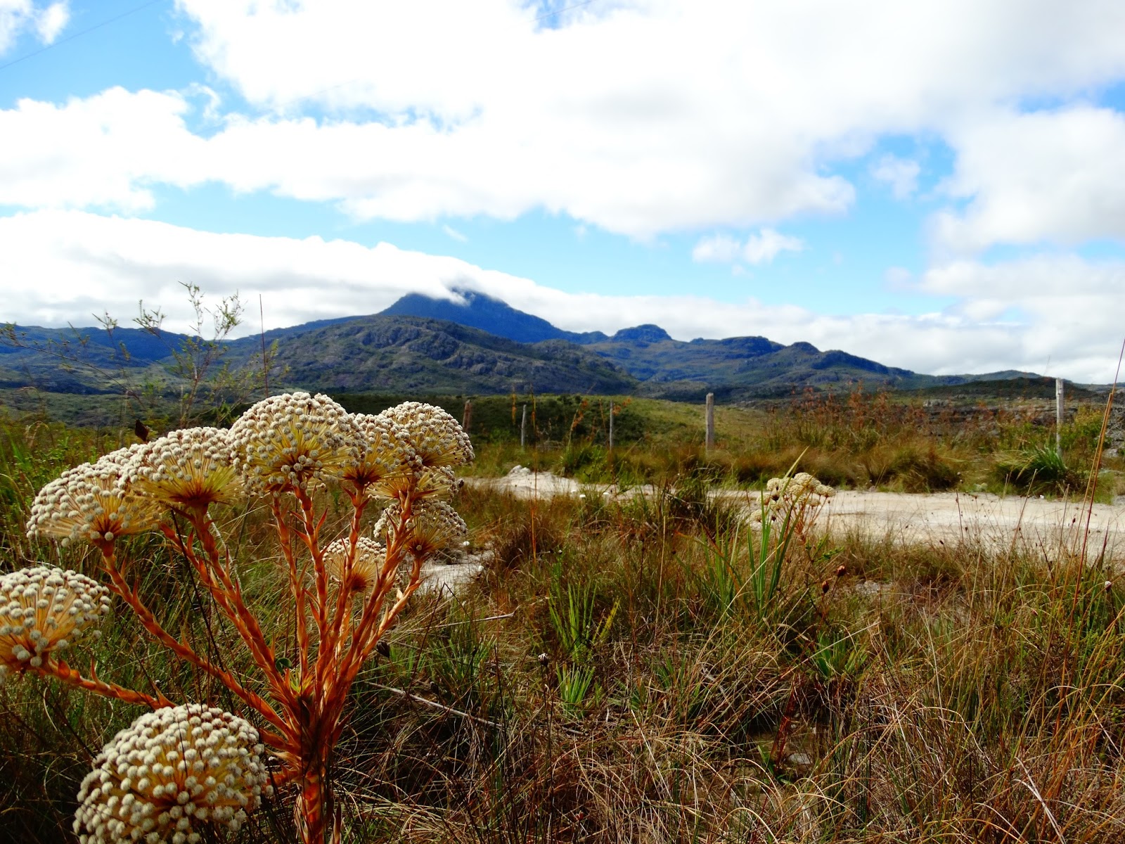 Dicas e Relatos de Viagens: Capivari