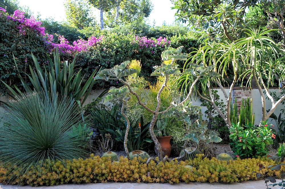 the garden: Art Luna Garden