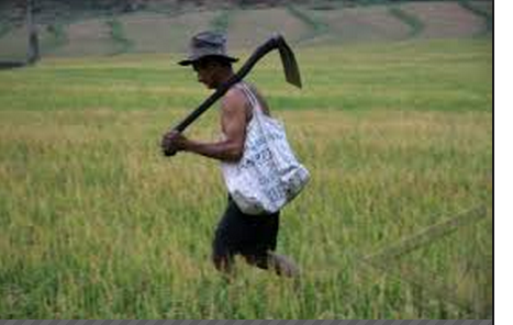 Blissful Life As a Peasant - Happy And Welfare Community with Agriculture