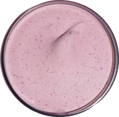 On Second Scoop: Ice Cream Reviews: Talenti Black Raspberry Vanilla ...