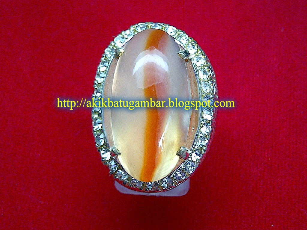 Batu Akik Gambar: AKIK BATU GAMBAR TALI AIR