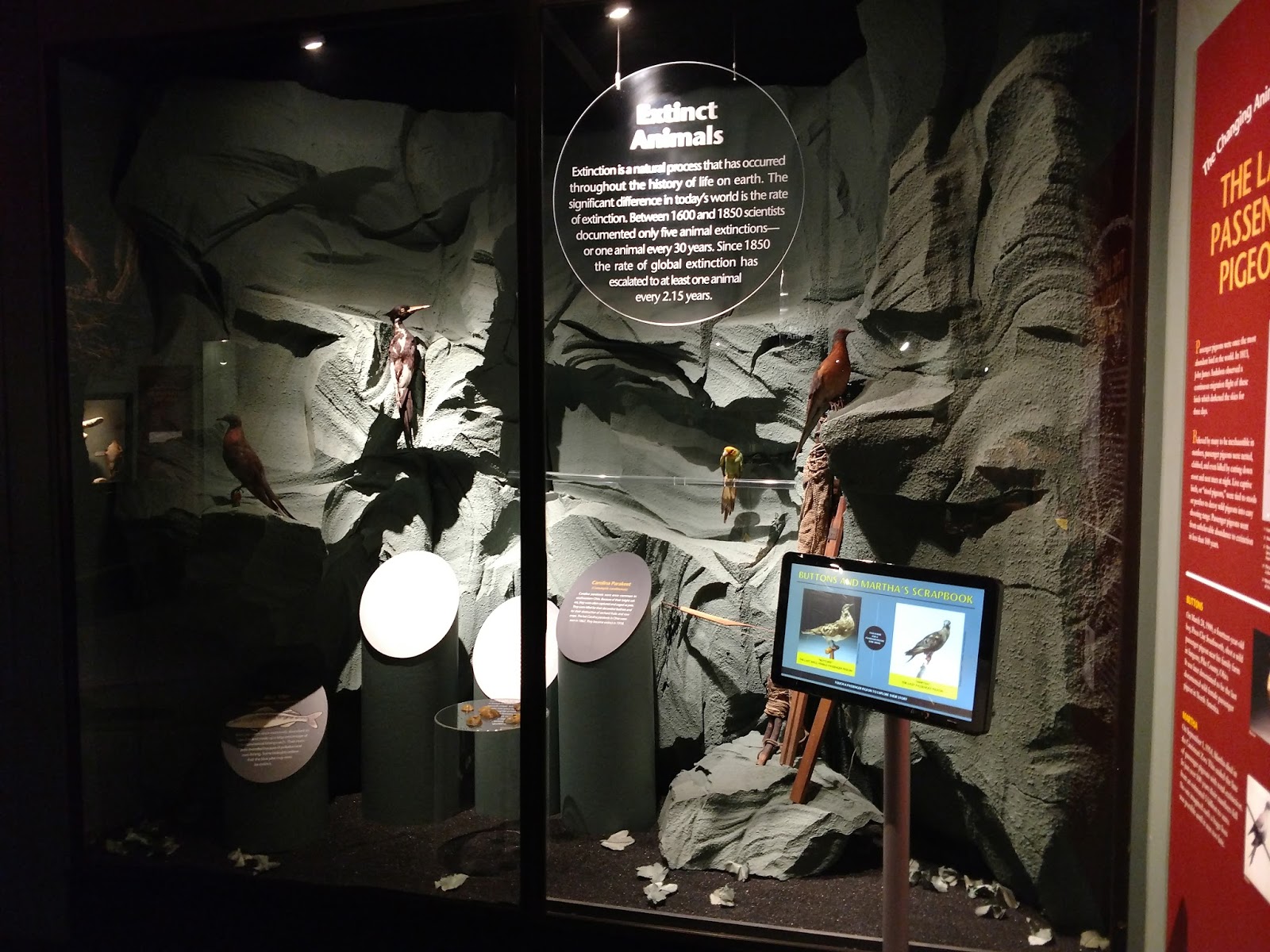 Travels of a Hobgoblin Taphophile: Extinct Animals Exhibit - Ohio ...