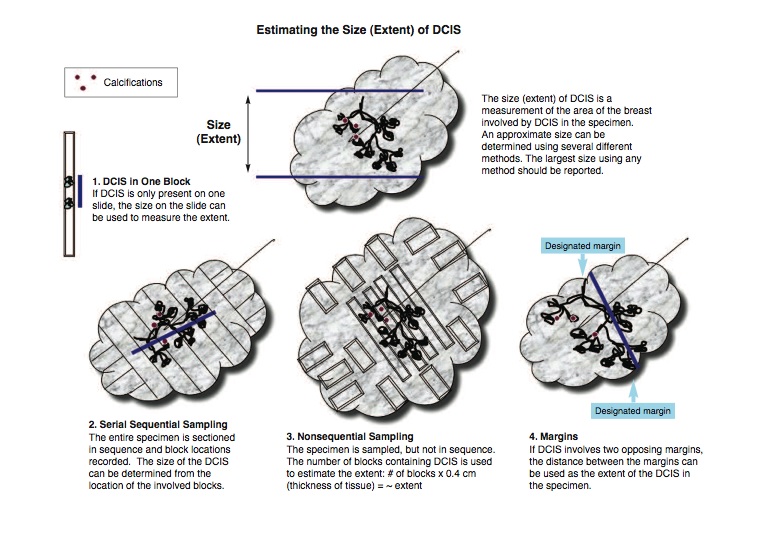 Oncopathology Update: March 2018