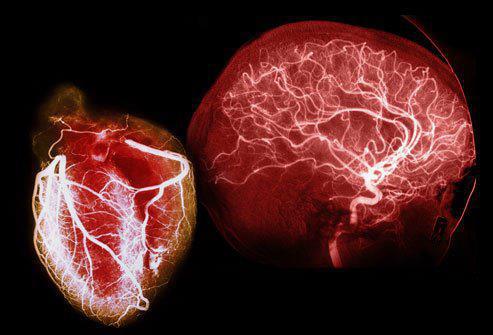 Psicología Humanista y Transpersonal: El Corazón Tiene Cerebro