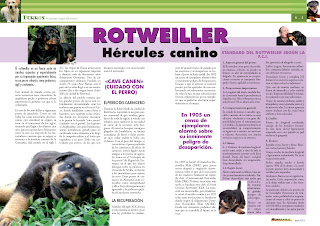 El sitio de mis ideas: Revista Animales