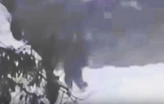 New Breakdown: Bigfoot Caught On Camera Walking Through Snow