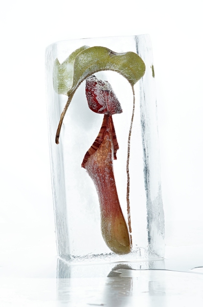 Fotografia Contemporanea: Gary Heery