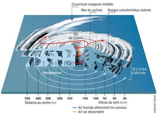 Chroniques du têtard mouillé: Que sait-on sur les cyclones