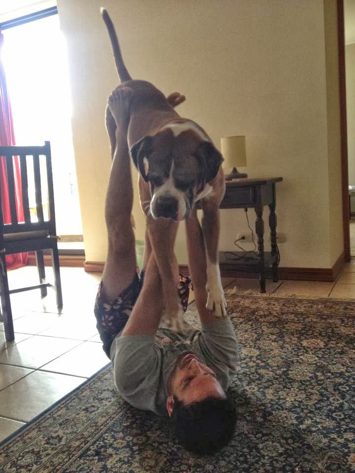 VIVIANAYOGA: “DOGA” : HACER YOGA CON TU PERRO