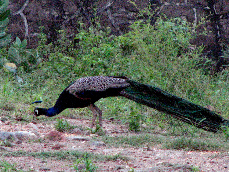 This Prism !: FROM MY TRAVEL DIARY - I