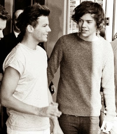 Beliebers, Directioners, e Mahomies