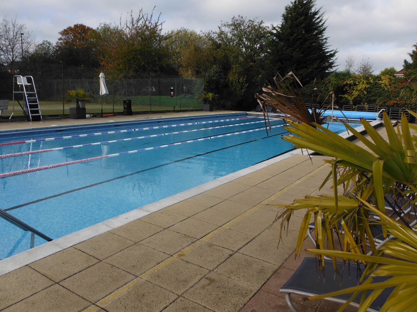 David Lloyd Finchley