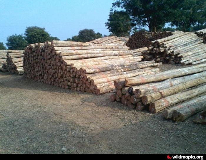 SUDHEER TIMBER DEPOT