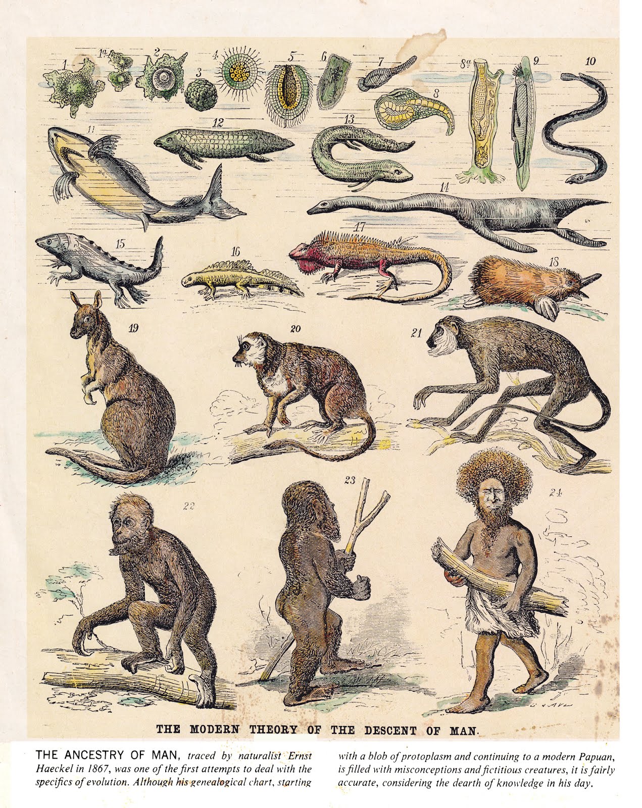 Progress is fine, but it's gone on for too long.: The Modern Theory of ...