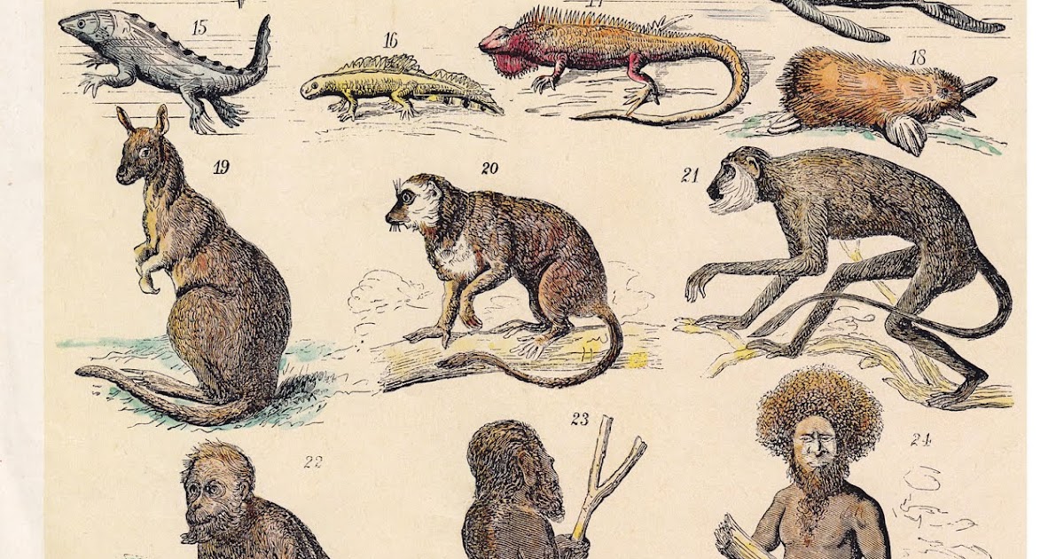 Progress is fine, but it's gone on for too long.: The Modern Theory of ...