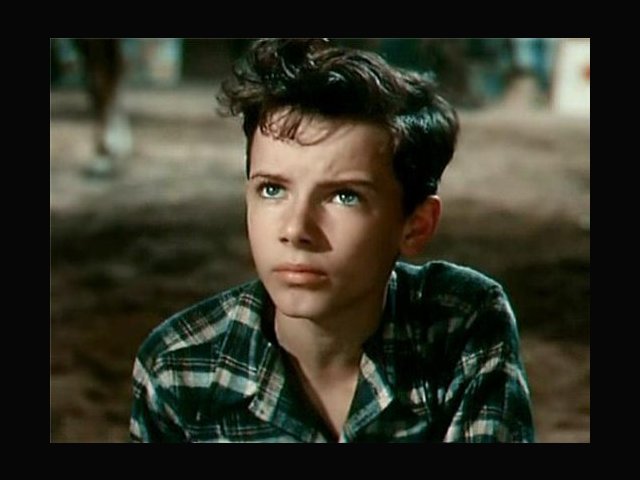 Photos Peter Miles (Gerald Perreau Saussine): Photos Peter Miles Gerald ...