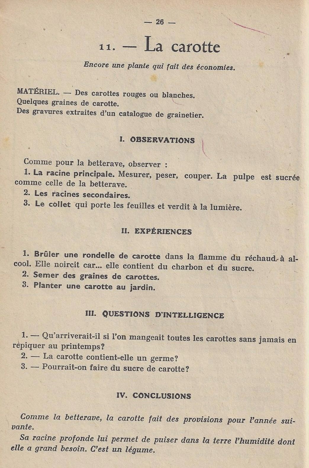 Leçons de choses: La carotte, encore une plante qui fait des économies