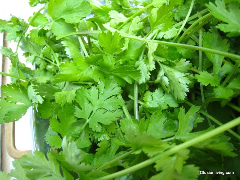 Grow crazy Coriander and add zest to your food! | Grow Your Own Veg ...