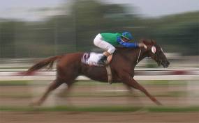 DESDE VALLEKAS: EL POTRO QUE NO SABÍA GALOPAR