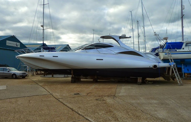 Bursledon Blog: Bladerunner